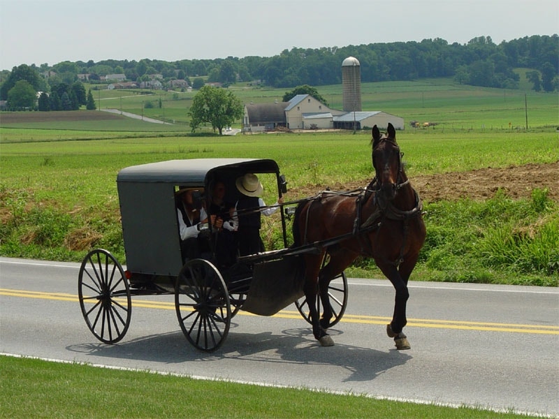 This is an Amish DUI | Fox Business