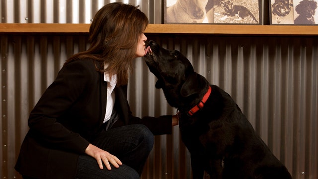 Widow Turns Loss into Love, Launch of a Business | Fox Business