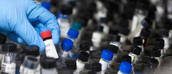 GlaxoSmithKline plc's Best Drug in 2015 | Fox Business