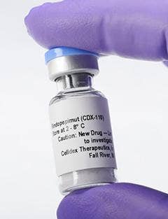 Waiting on Celldex Therapeutics, Inc. | Fox Business