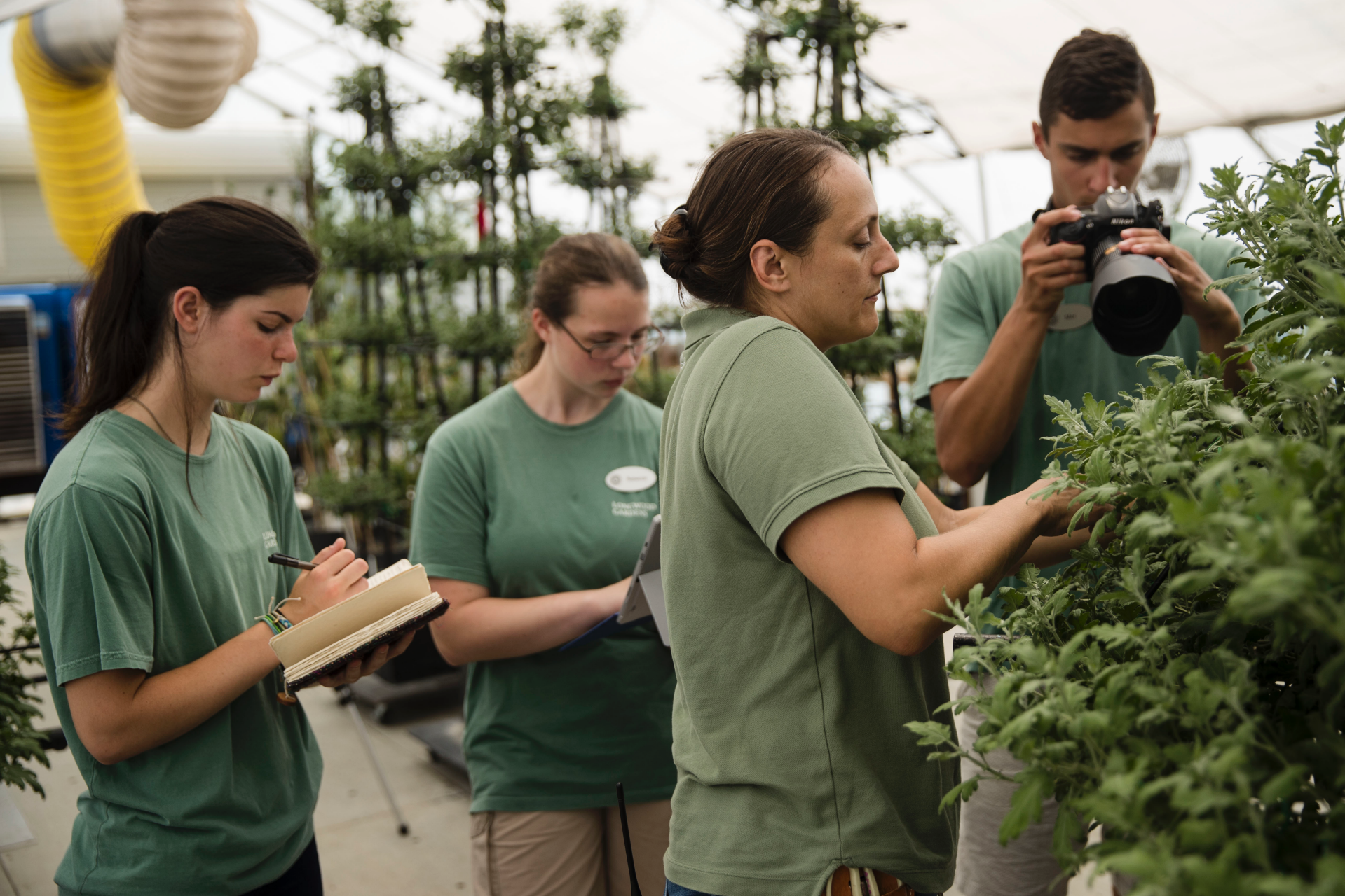Public gardens work to pass on prized horticultural skills | Fox Business