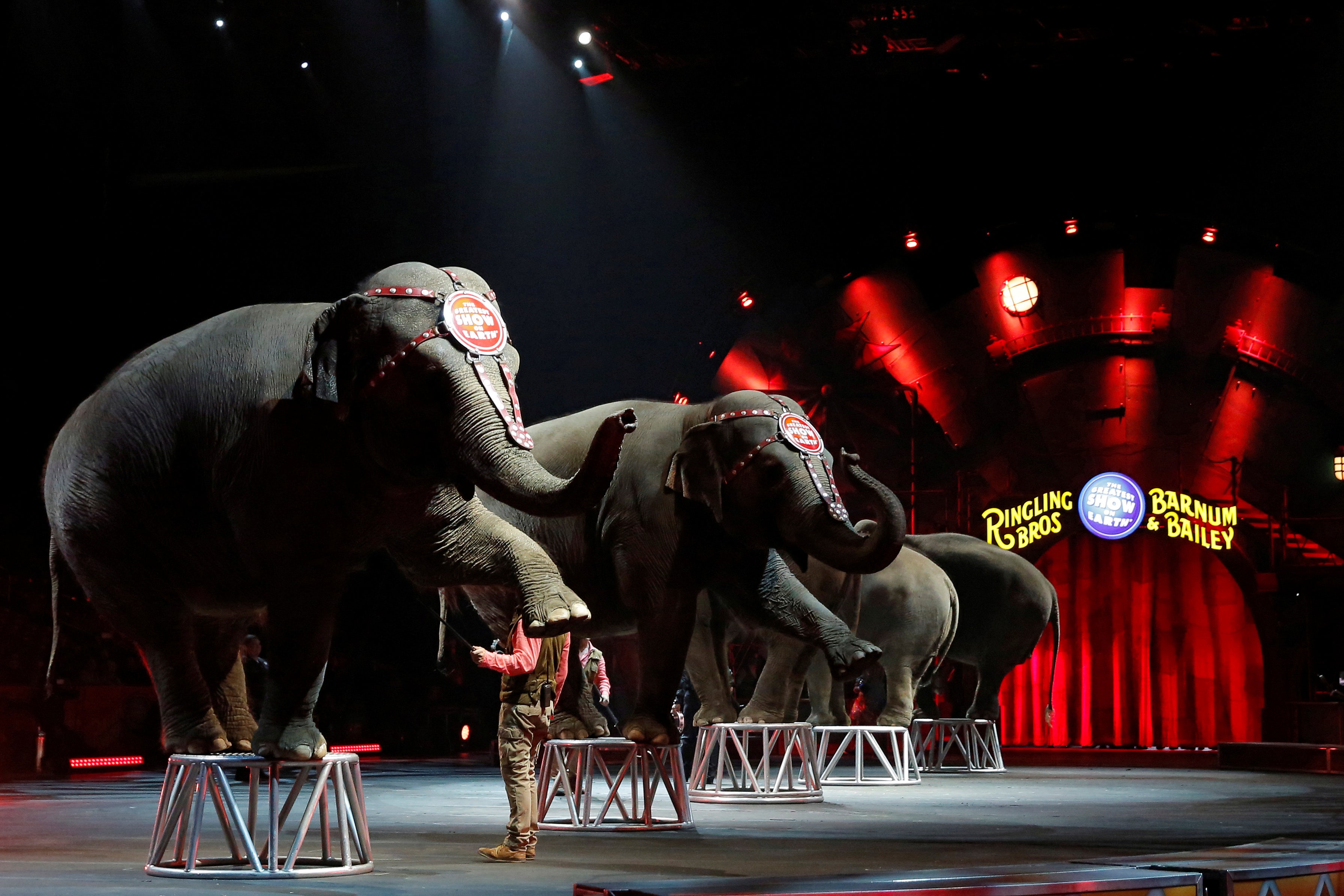 Fans thankful to see 'Greatest Show on Earth' one final time | Fox Business