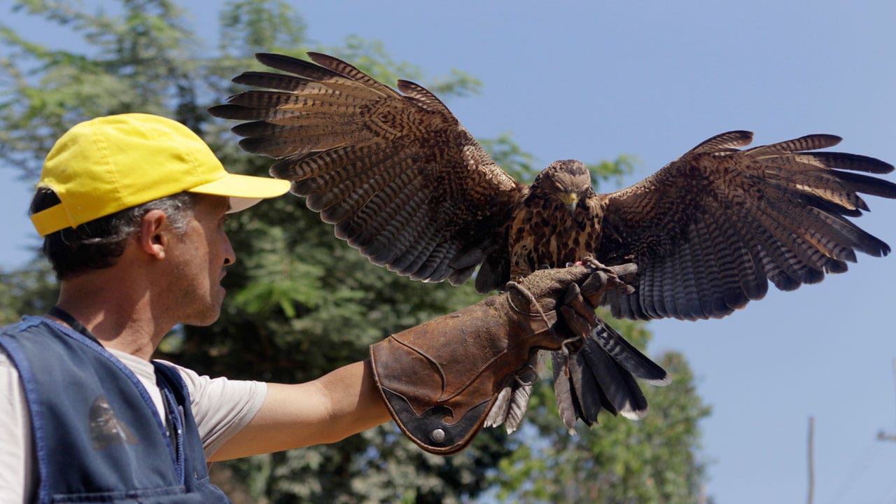 The Fed is Ready...Really Ready As the Hawks Come Out | Fox Business