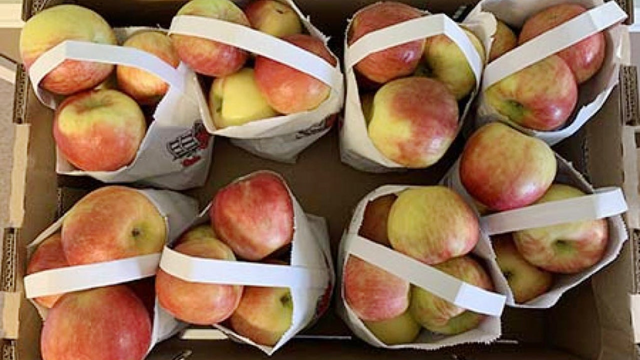 Michigan apples recalled in eight states over possible Listeria ...