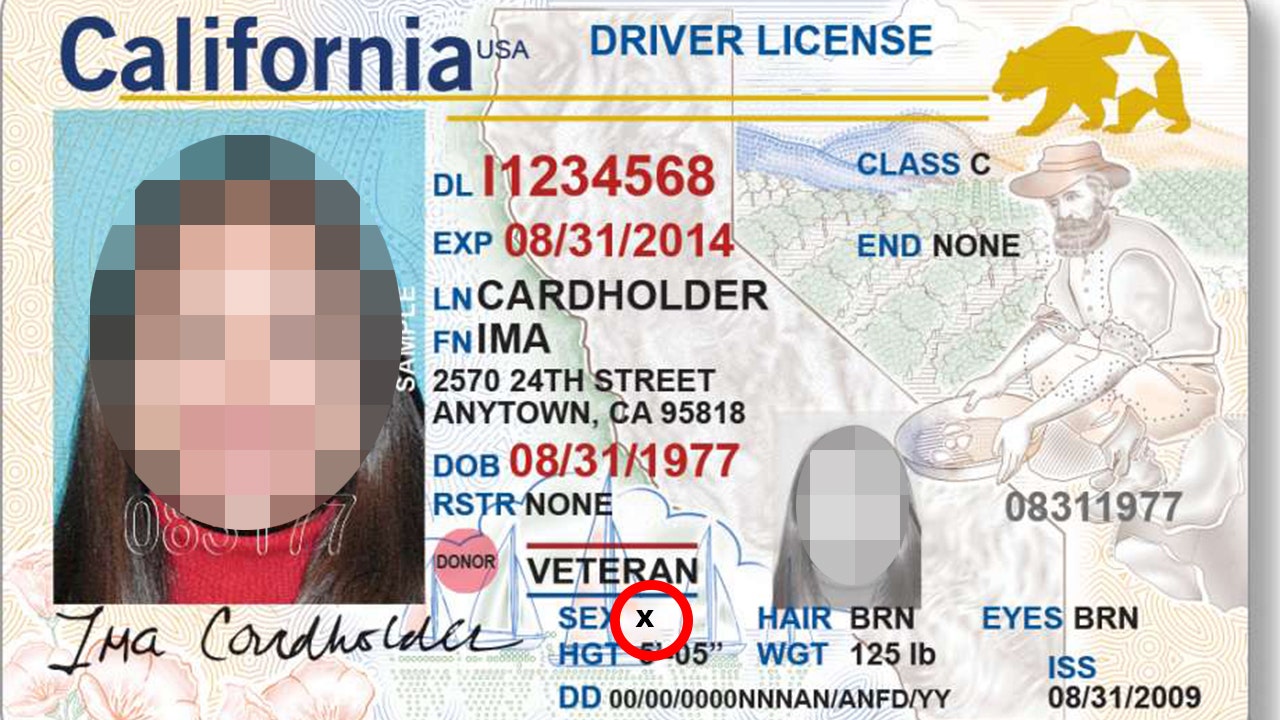 Nonbinary license options come at a cost: Report | Fox Business