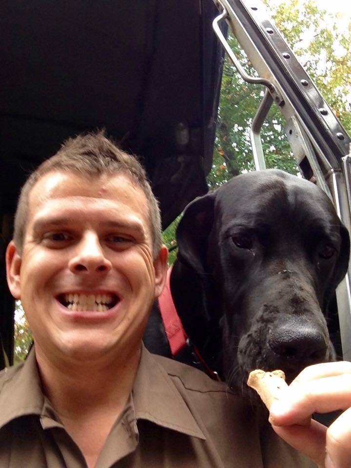 UPS Dogs, the viral pet page that has attracted millions of likes | Fox ...