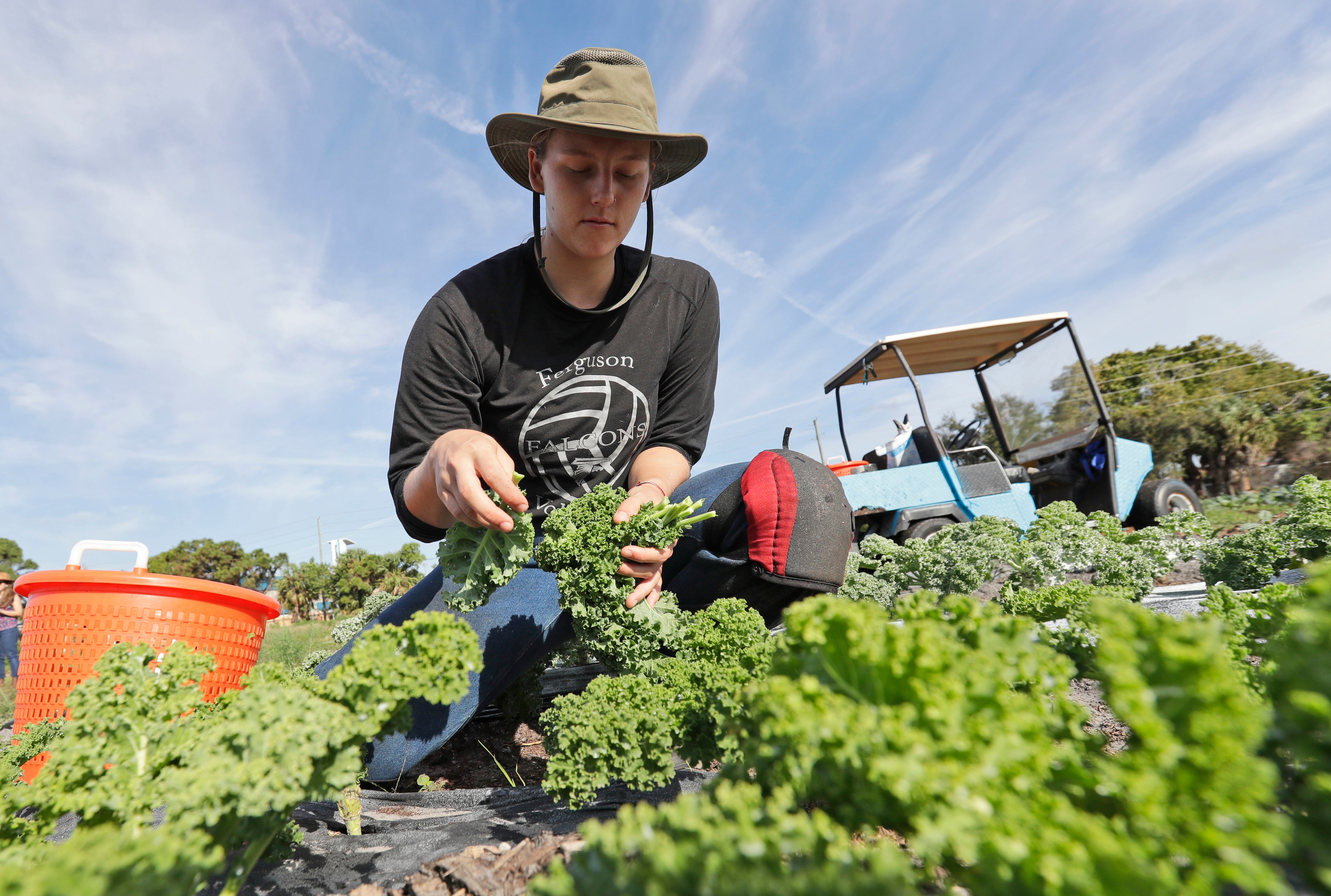 Work authorization for farmworkers will save farms like mine: Fourth ...