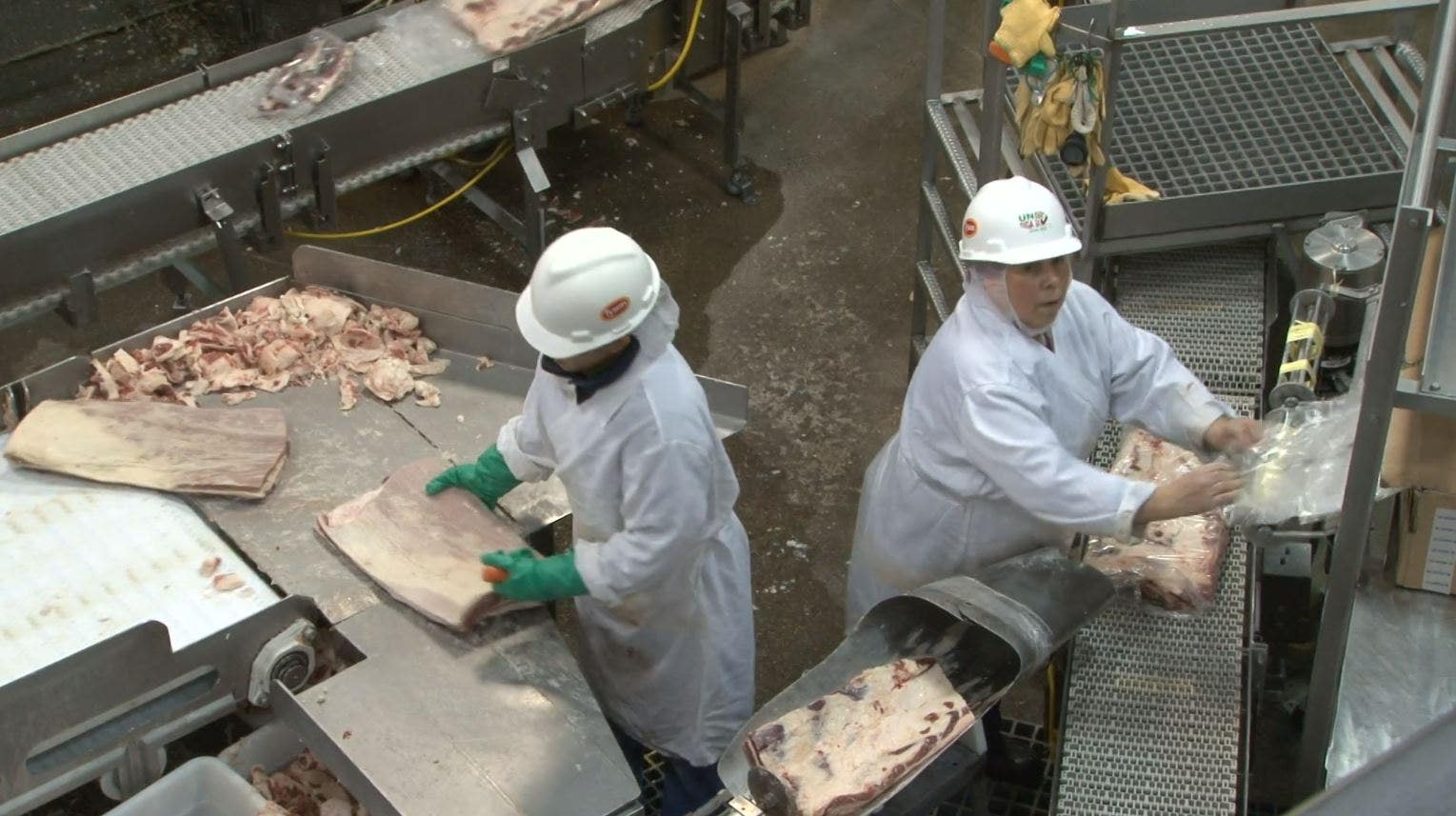 Worker shortage concerns loom in immigrant-heavy meatpacking | Fox Business