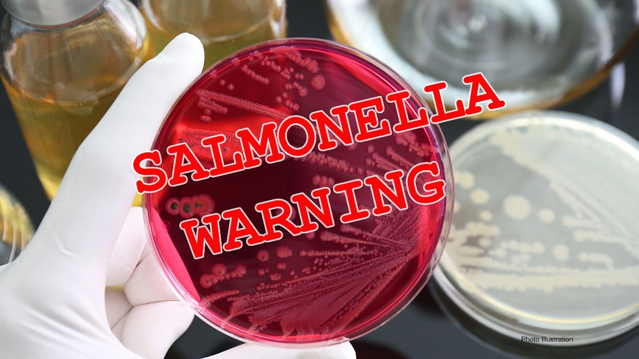Salmonella outbreak infects 125 Americans in the last month: CDC | Fox ...