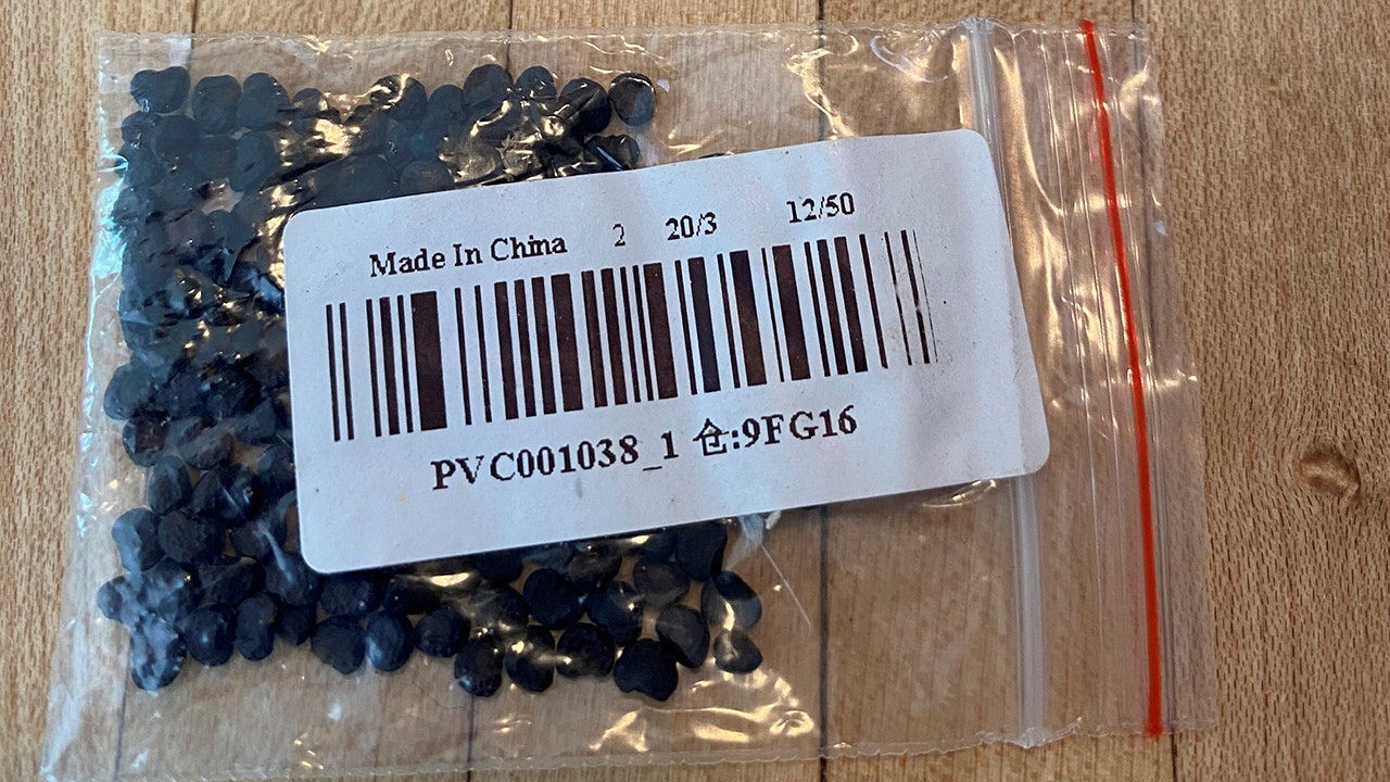 Some illegally mailed mystery seeds from China identified: USDA | Fox ...