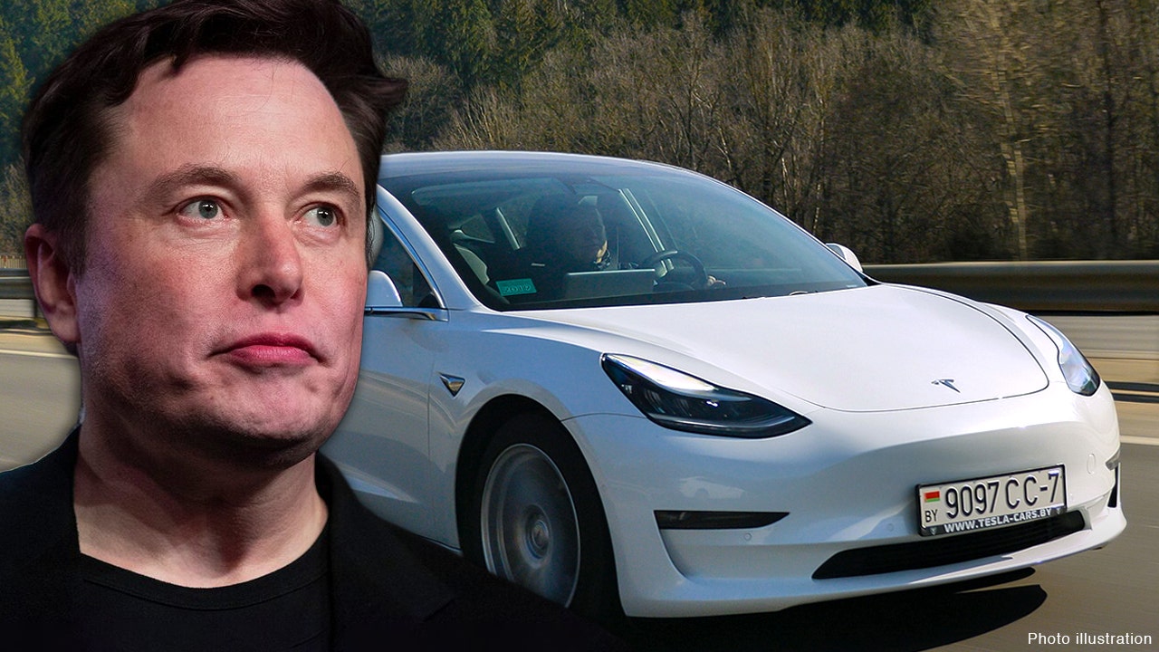 Teslas Elon Musk On Why Self Driving Cars Are Not Mainstream Yet Fox