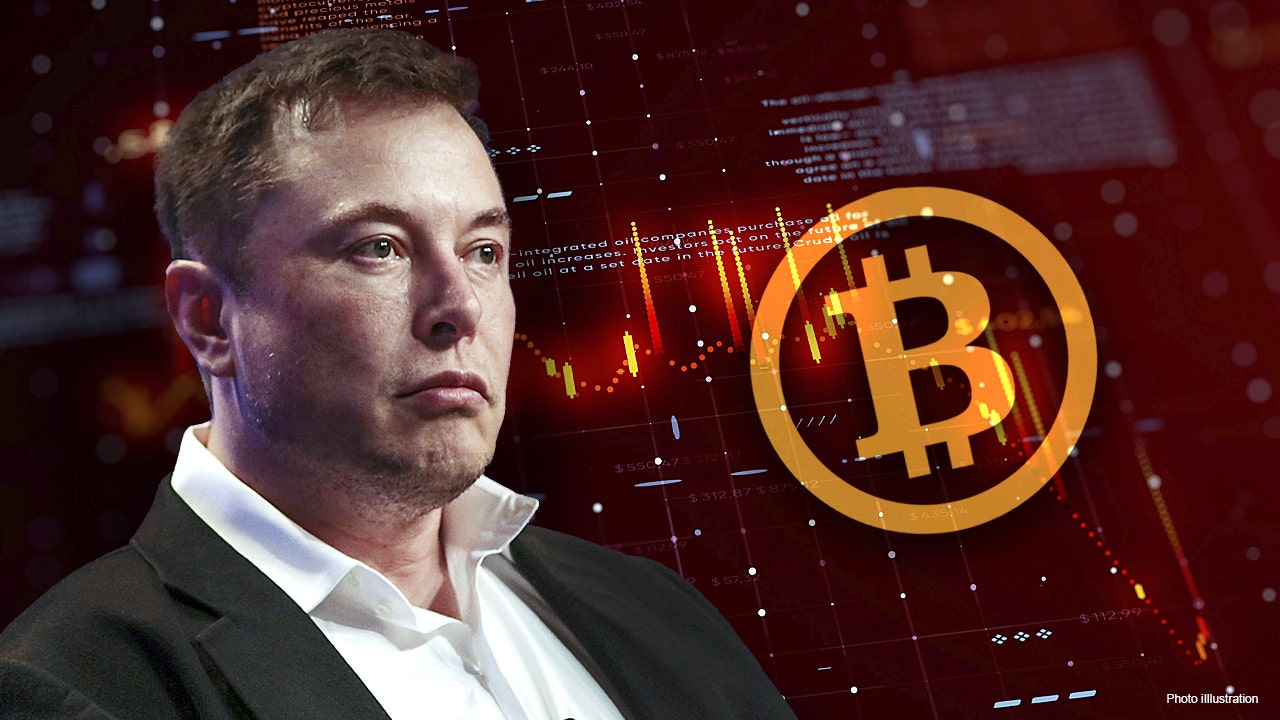 Elon Musk boasts 'diamond hands' as bitcoin implodes | Fox Business