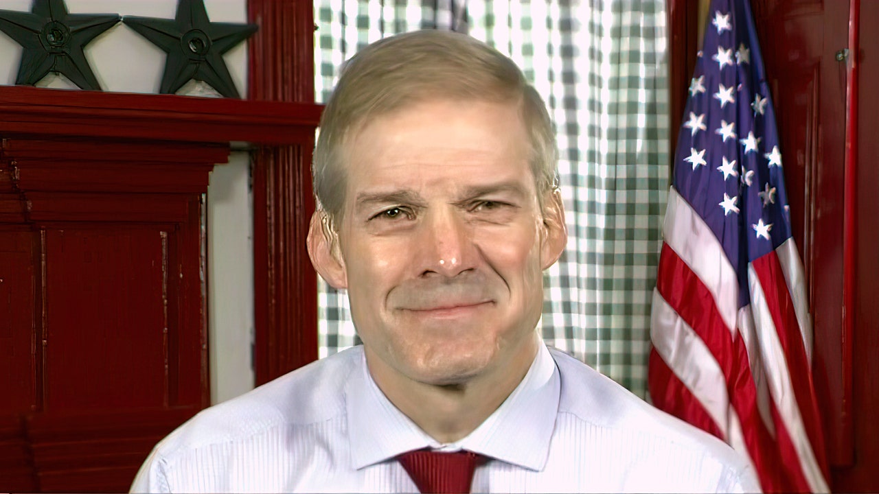 Rep. Jordan slams Republican senators who ‘went along’ with Democrats ...