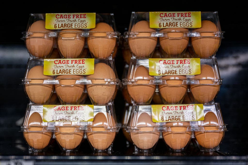 Relentless inflation and surging grocery prices have these Americans on ... Relentless inflation and surging grocery prices have these Americans on ...