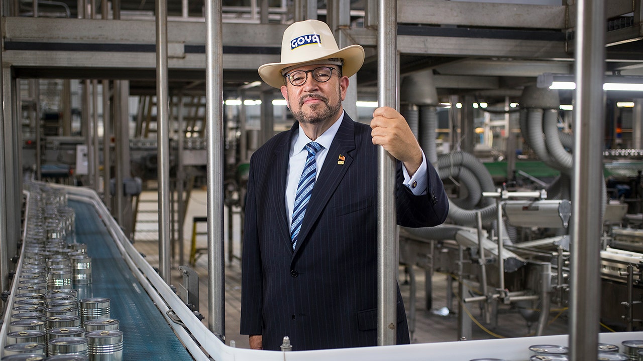 Goya CEO says US facing a ‘war on the spirit’ this Thanksgiving | Fox ...