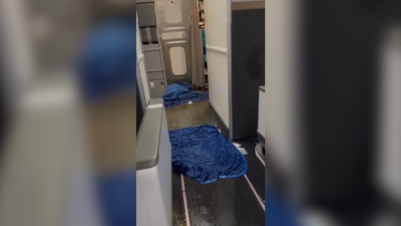 Alaska Airlines Boeing jet experiences flooding, turns around during ...