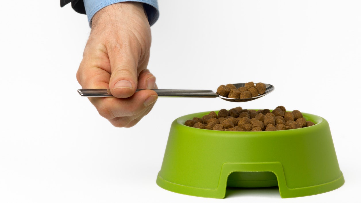 Dog food tasters are a real job you could apply for today | Fox Business
