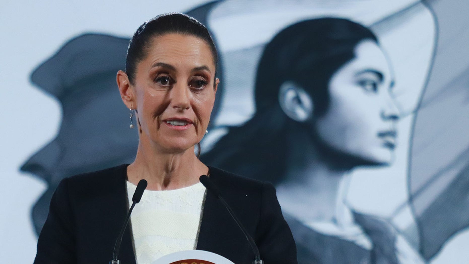 President Trump Delays Tariffs on Mexico after 'Excellent' Conversation ...