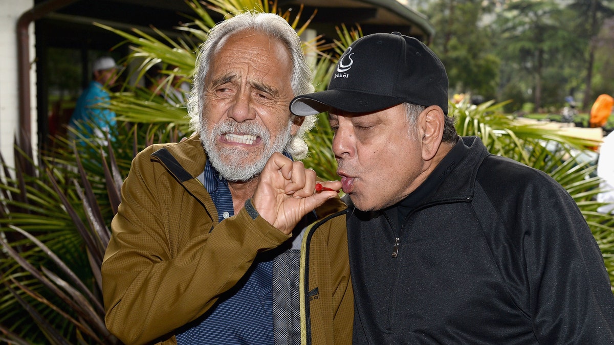 Cheech And Chong Back Together? Comedian Says It's Quite Possible | Fox ...