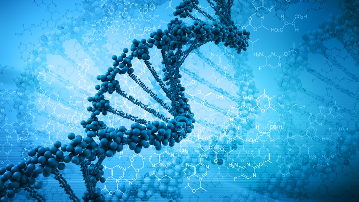 Homosexuality Ultimately A Result Of Gene Regulation Researchers Find