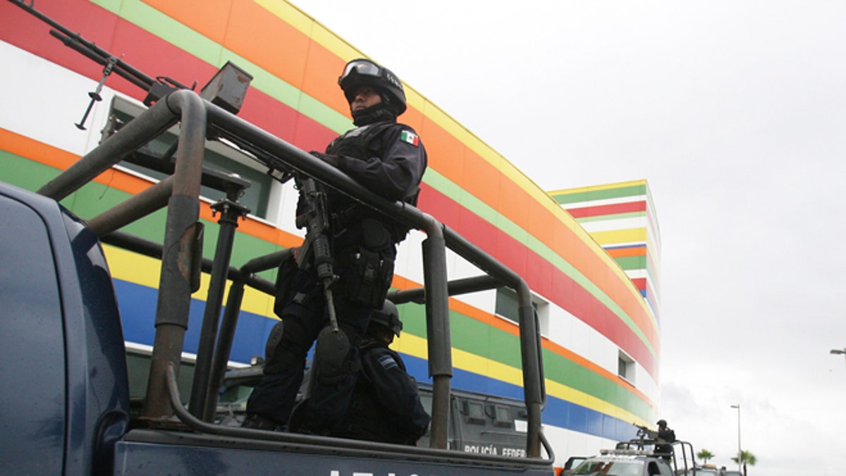 Mexican Government Announces New Offensive Against Cartels In Northern ...