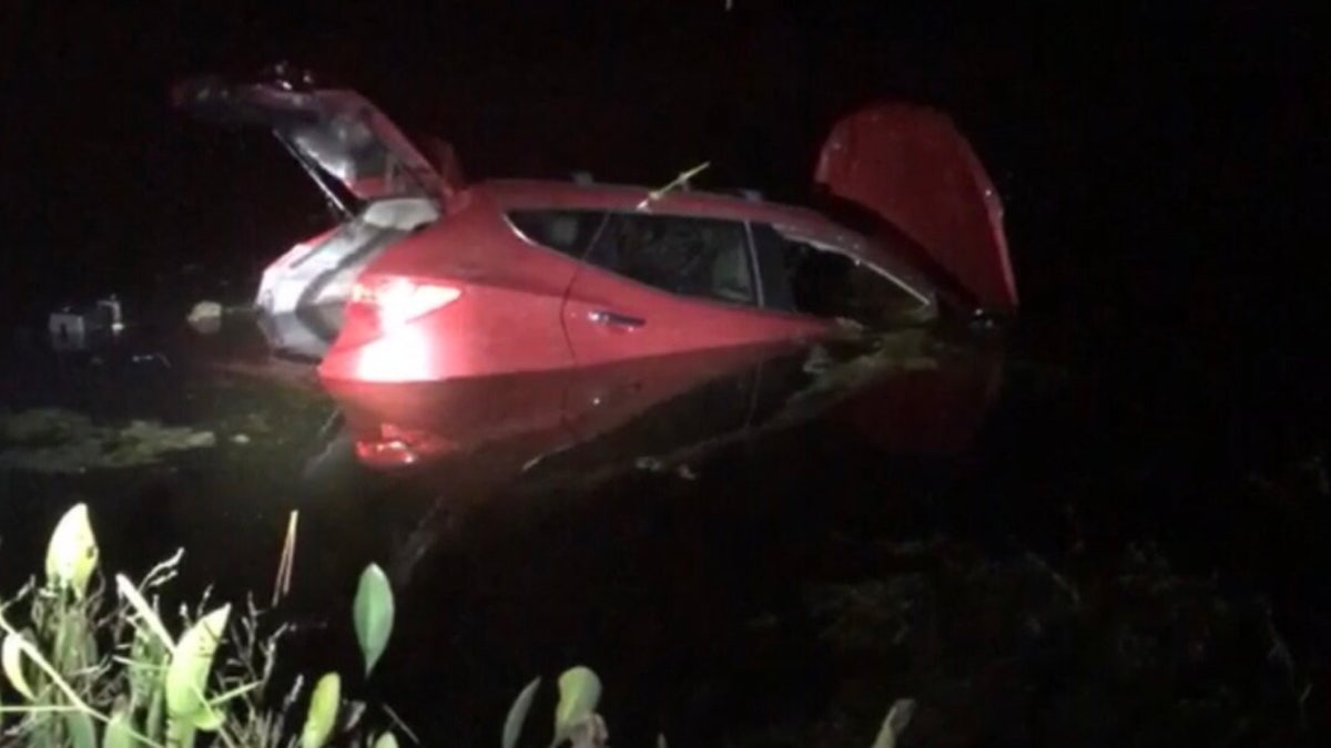 Florida deputies rescue 82-year-old woman after she crashes into pond ...