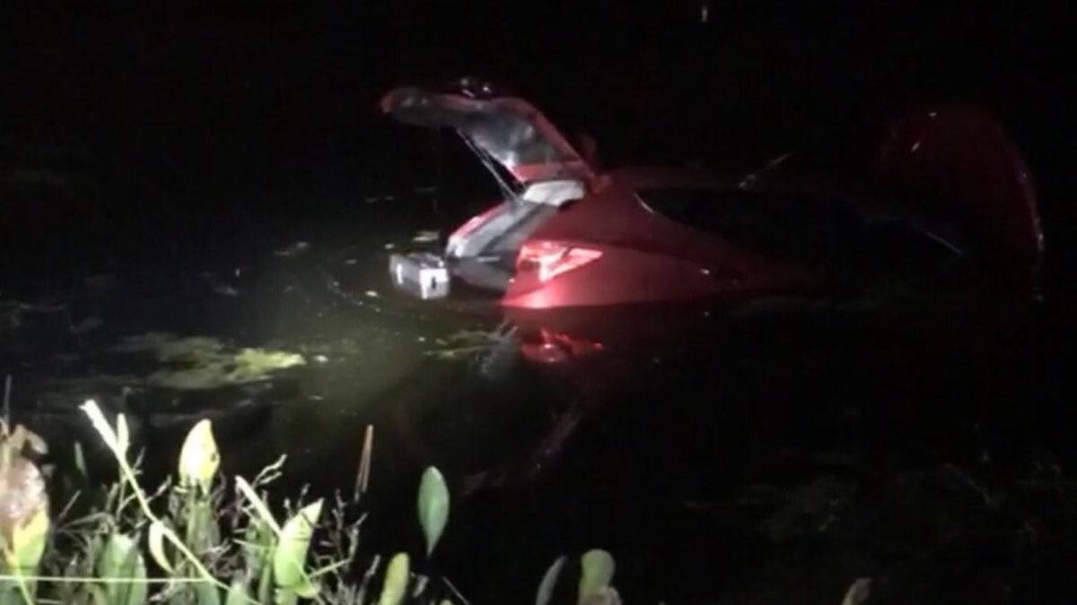 Florida deputies rescue 82-year-old woman after she crashes into pond ...