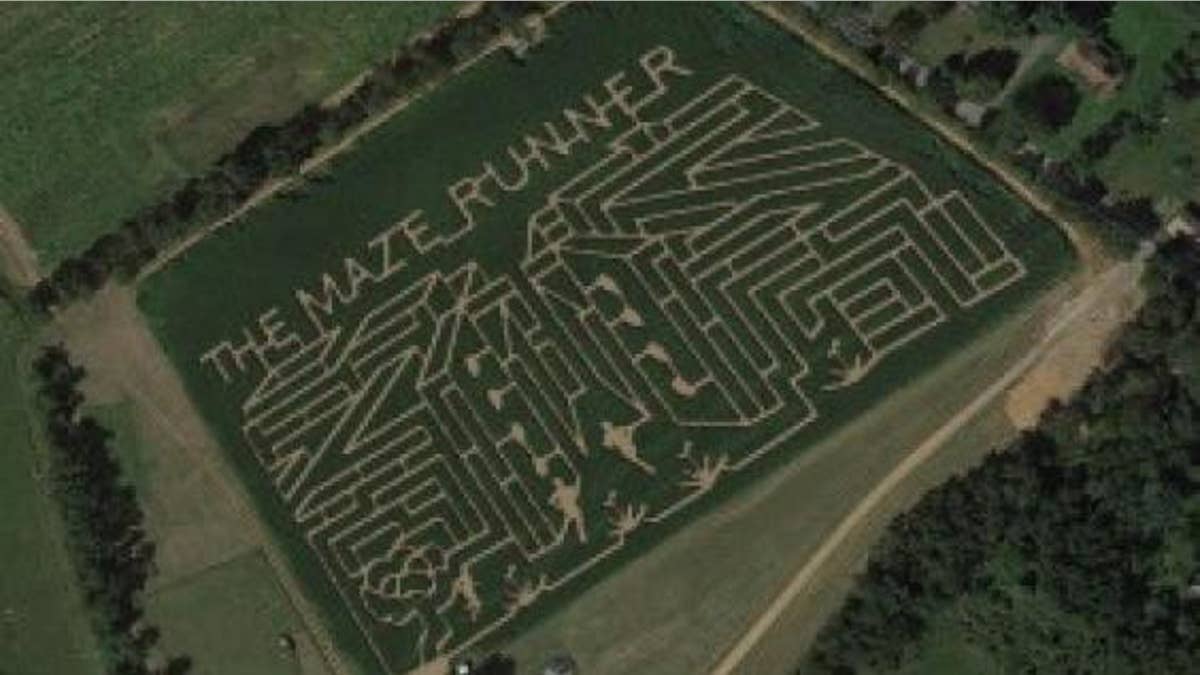 Visit the Maze Runner corn maze | Fox News