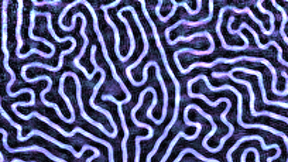 Better Than Superman? X-Ray Microscope Enables Nanovision | Fox News