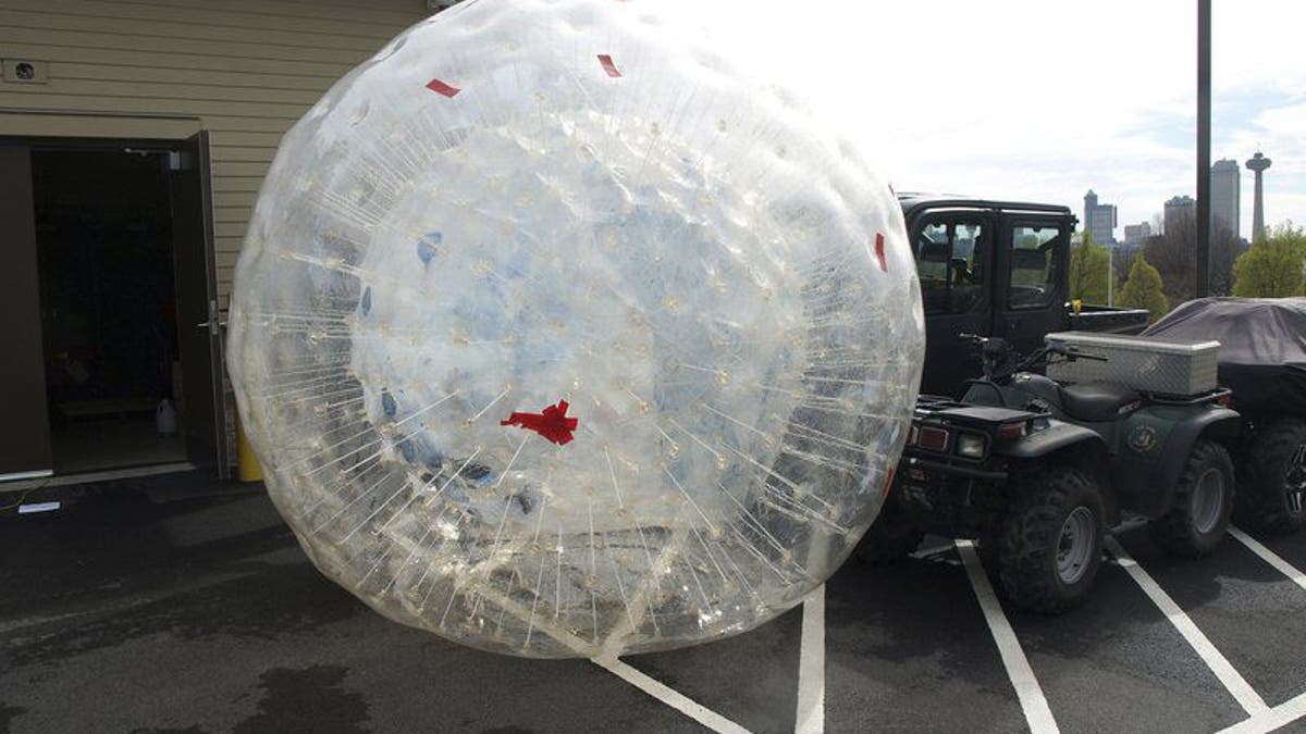 Niagara Falls daredevil may have brought boa constrictor along in ...