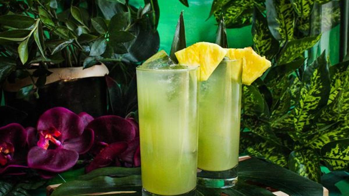 Tropical Refresher | Fox News