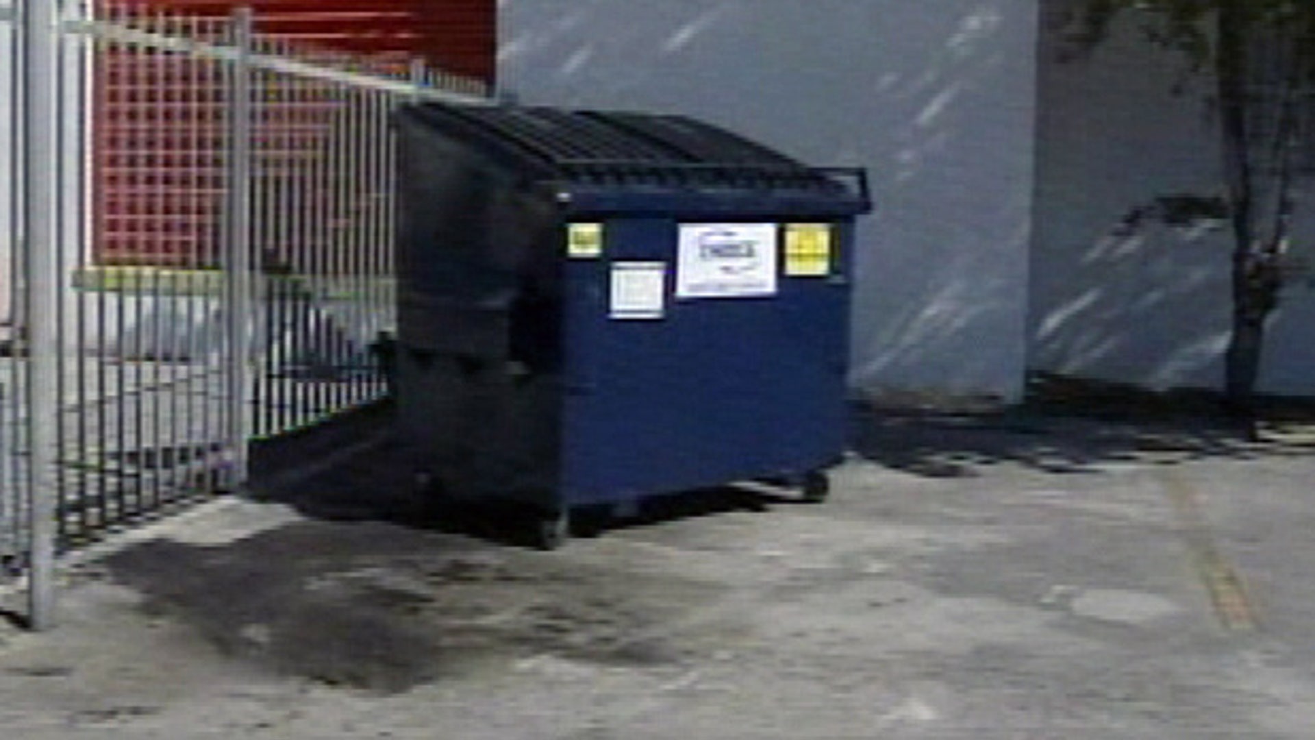 Playboy Model Murder Investigation | Fox News