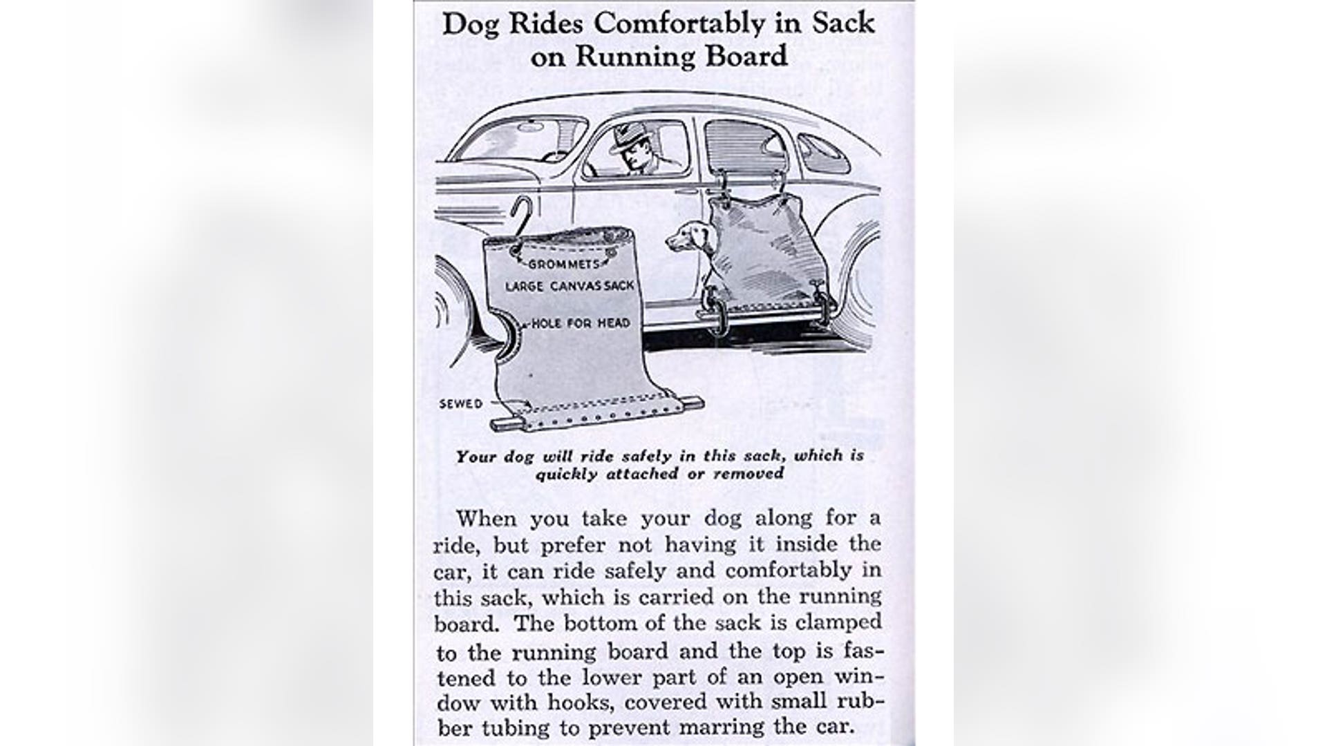 Top 10 Dumbest Inventions | Fox News