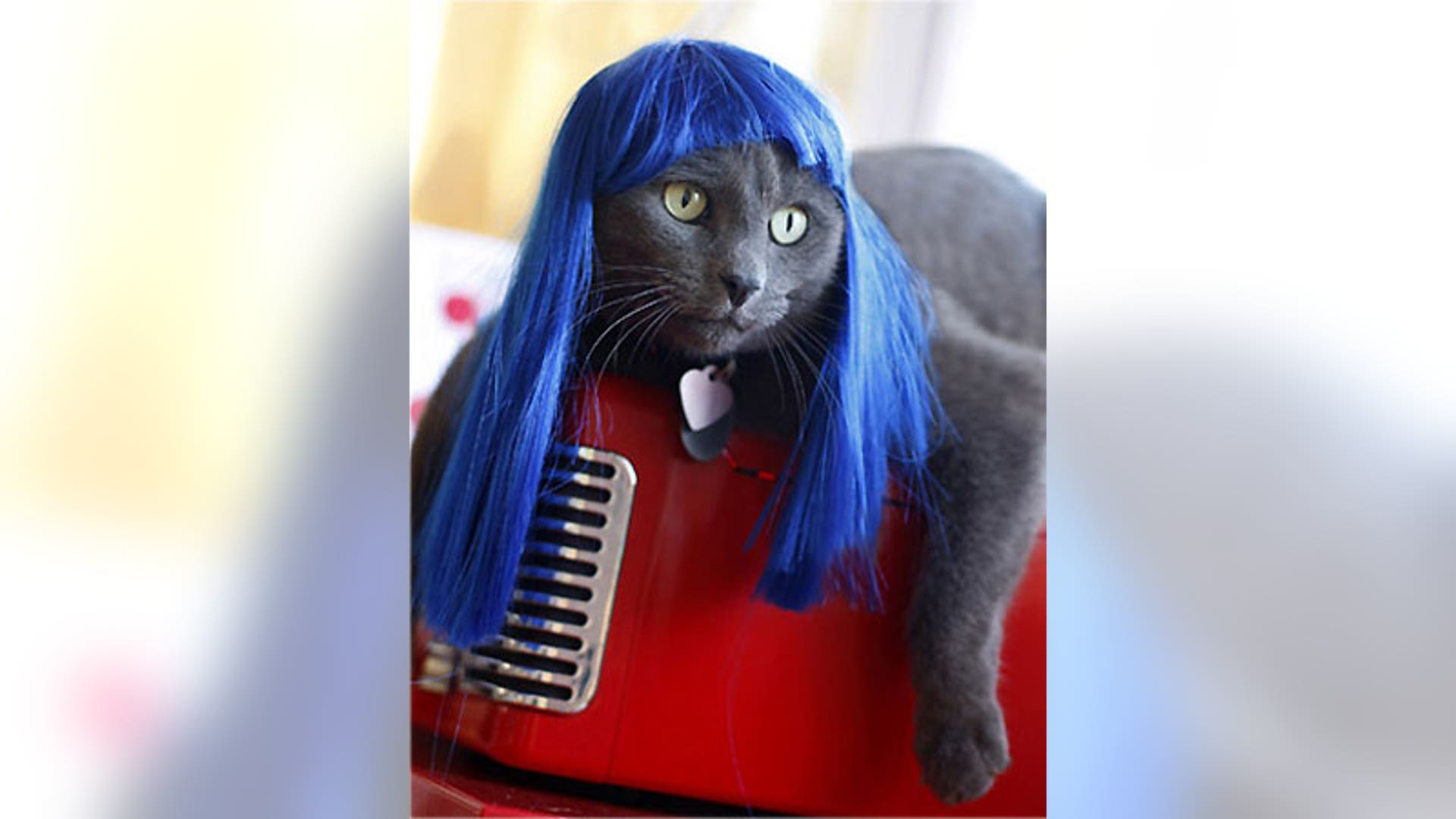 Top 10 Dumbest Inventions | Fox News