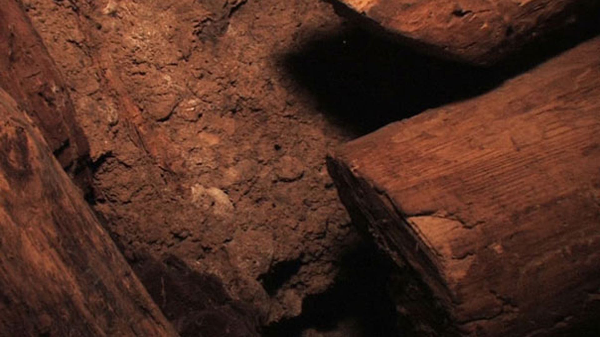 Has Noah's Ark Been Discovered? | Fox News