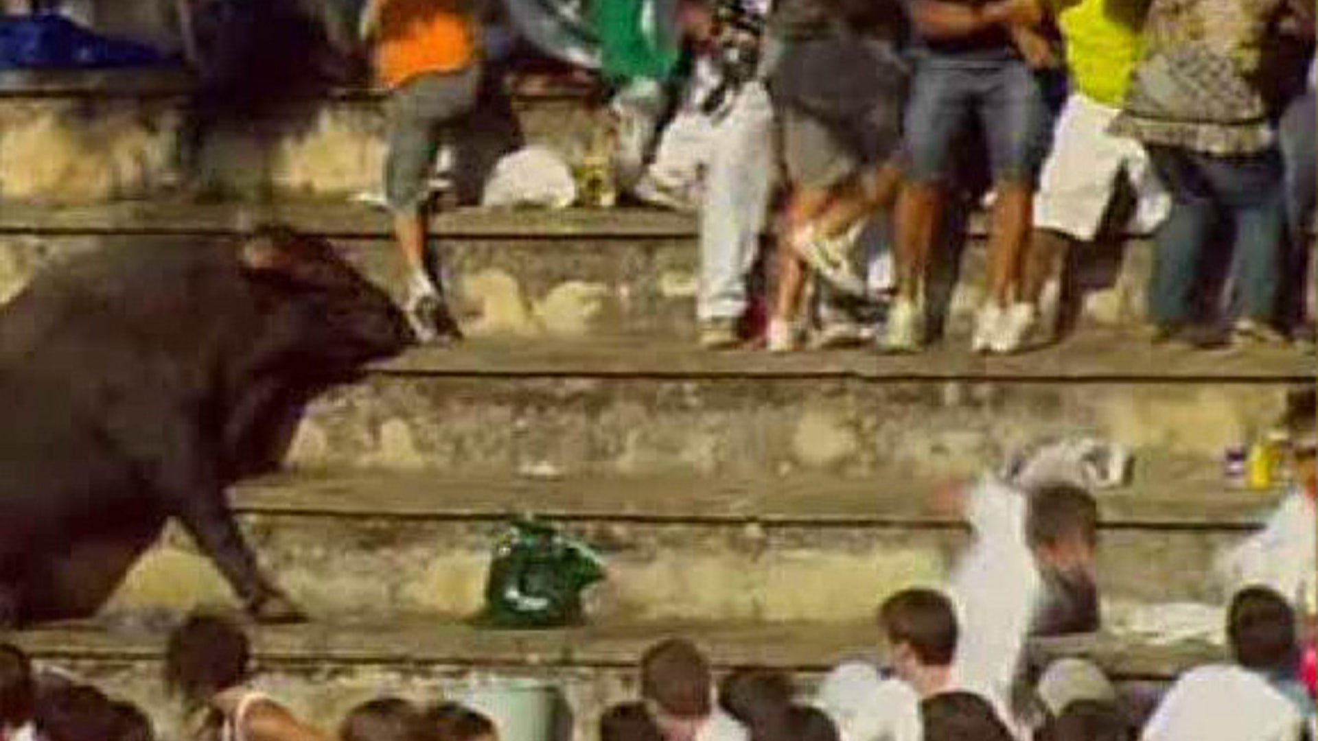 Leaping Bull Injures 40 People in Spain | Fox News