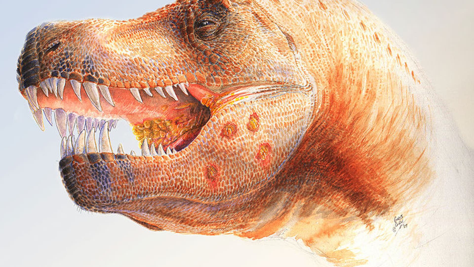 T.rex: King of the Lizards | Fox News