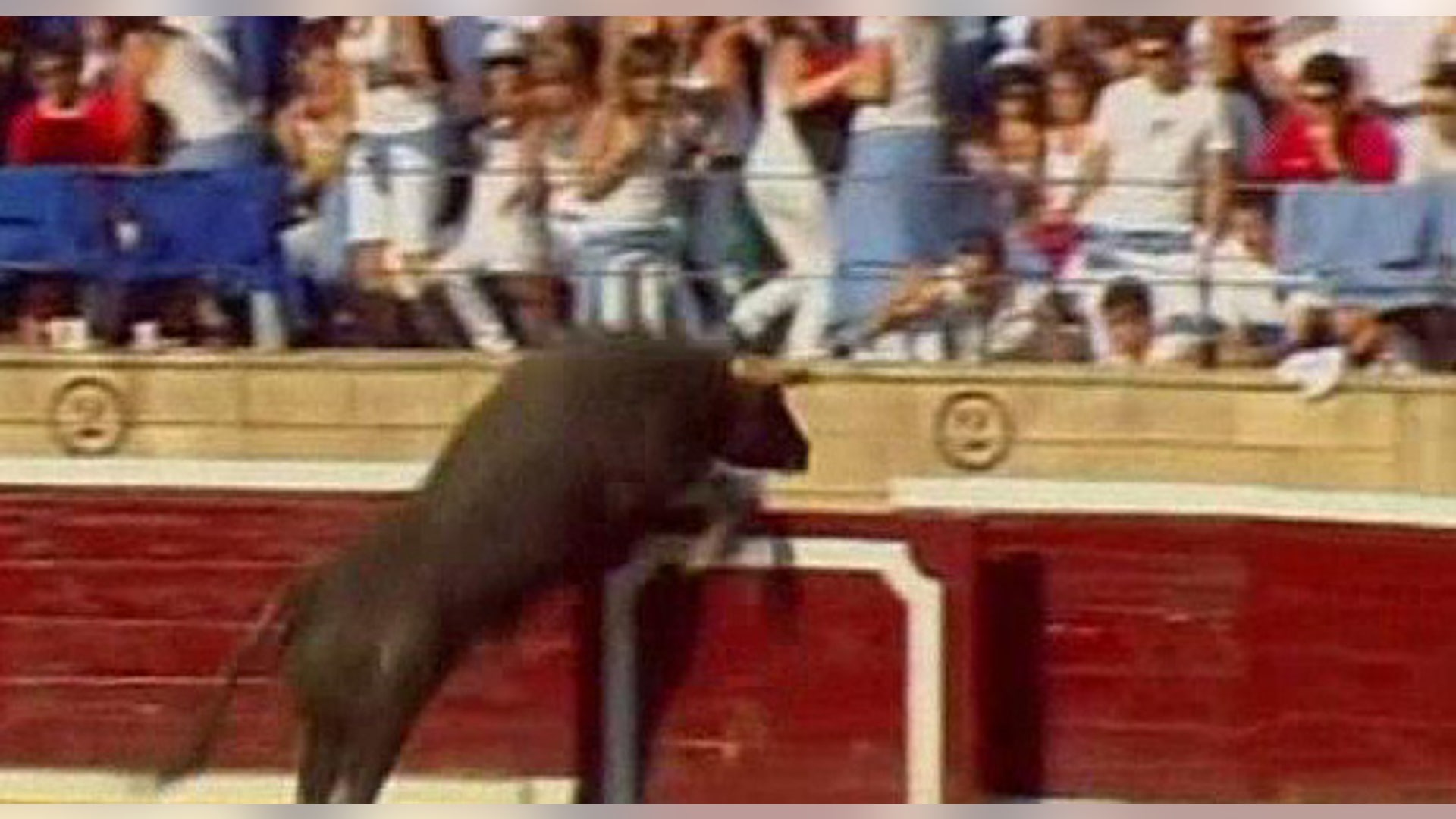 Leaping Bull Injures 40 People in Spain | Fox News