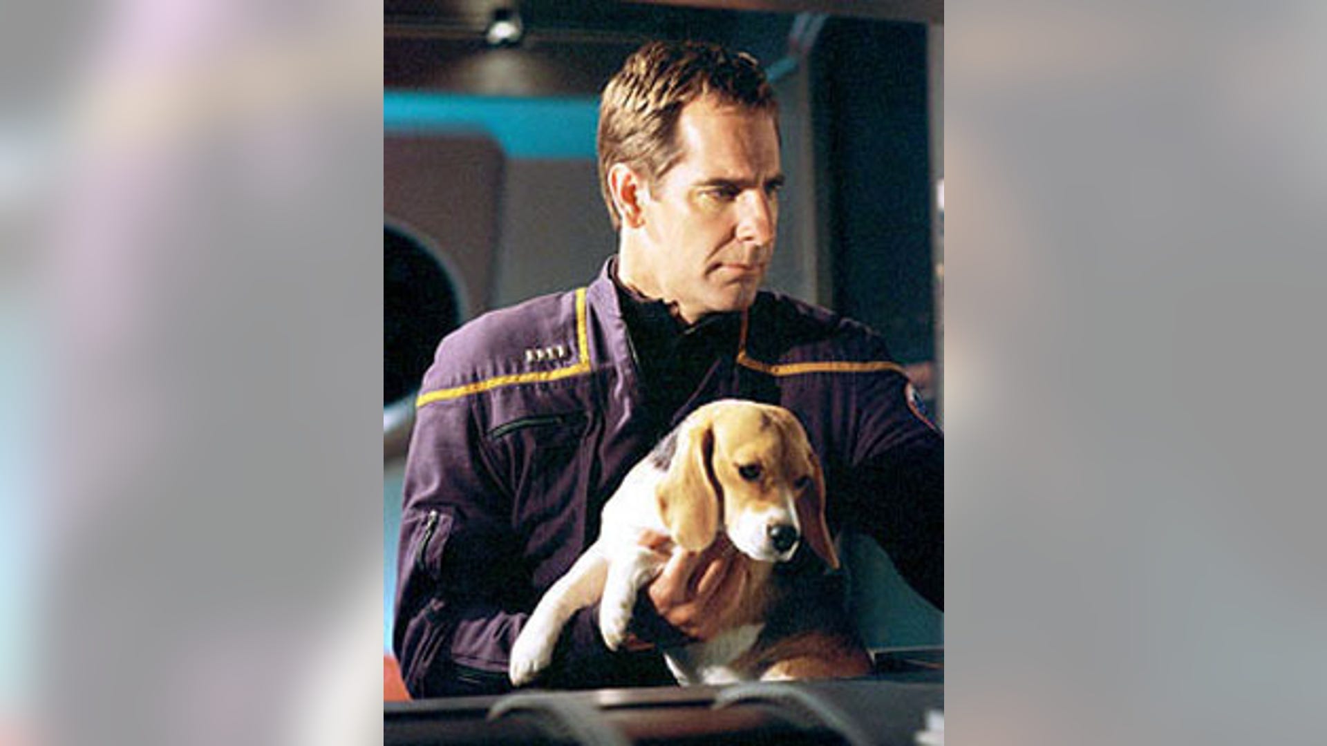 Top Dogs: The cutest pups on TV | Fox News