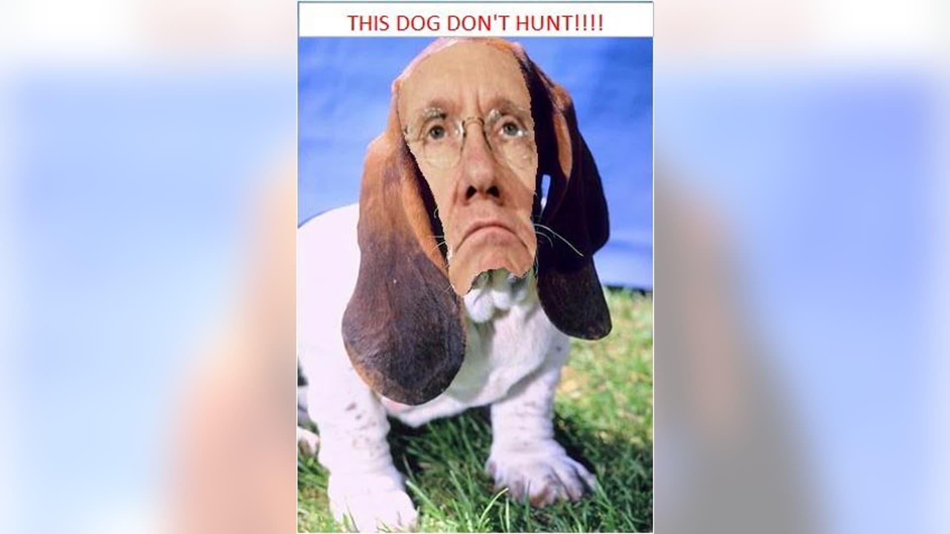 Photo Op-inion: Dog Days of Summer | Fox News