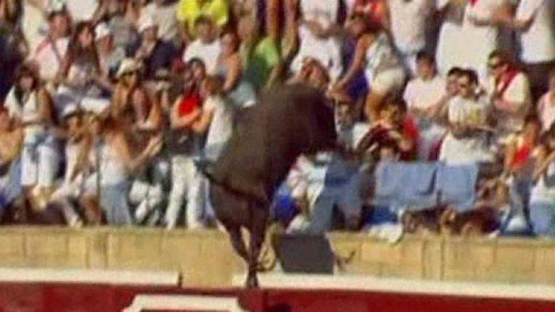 Leaping Bull Injures 40 People in Spain | Fox News