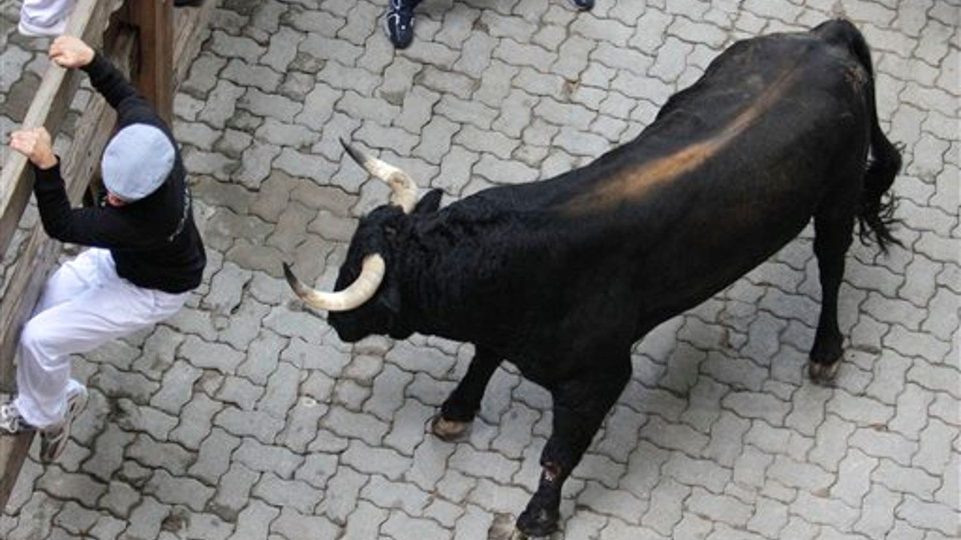 Spain's Running with the Bulls Festival | Fox News