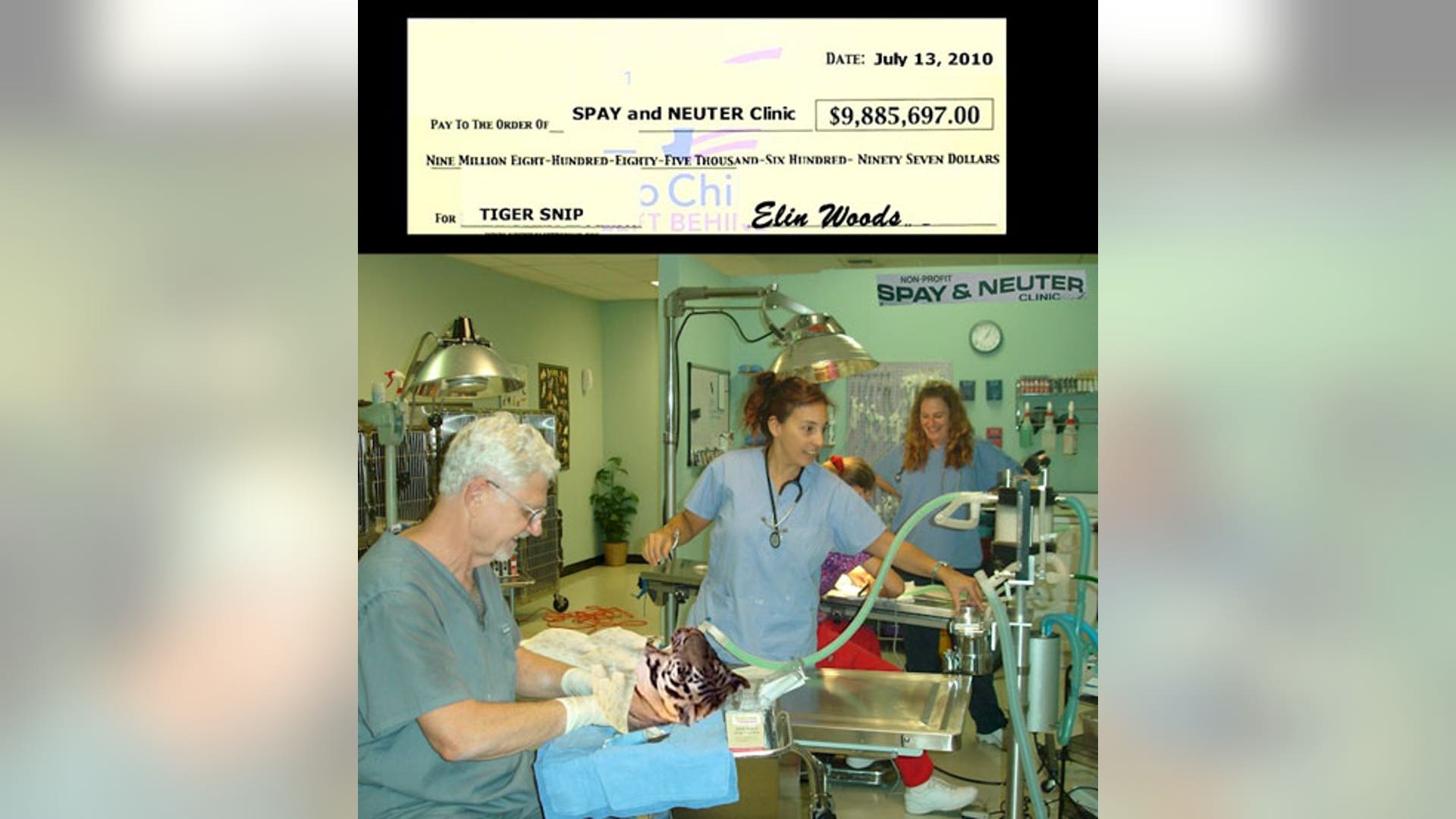 Photo Op-inion: How Elin Should Spend Her Money | Fox News