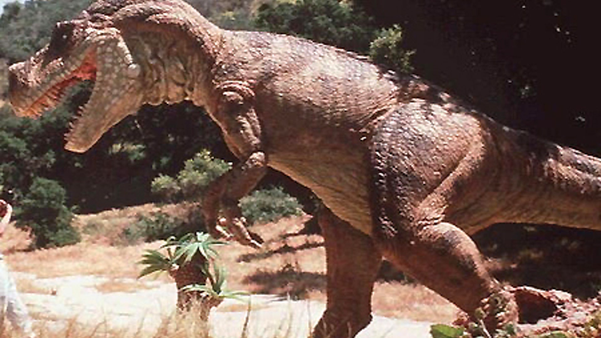 T.rex: King of the Lizards | Fox News
