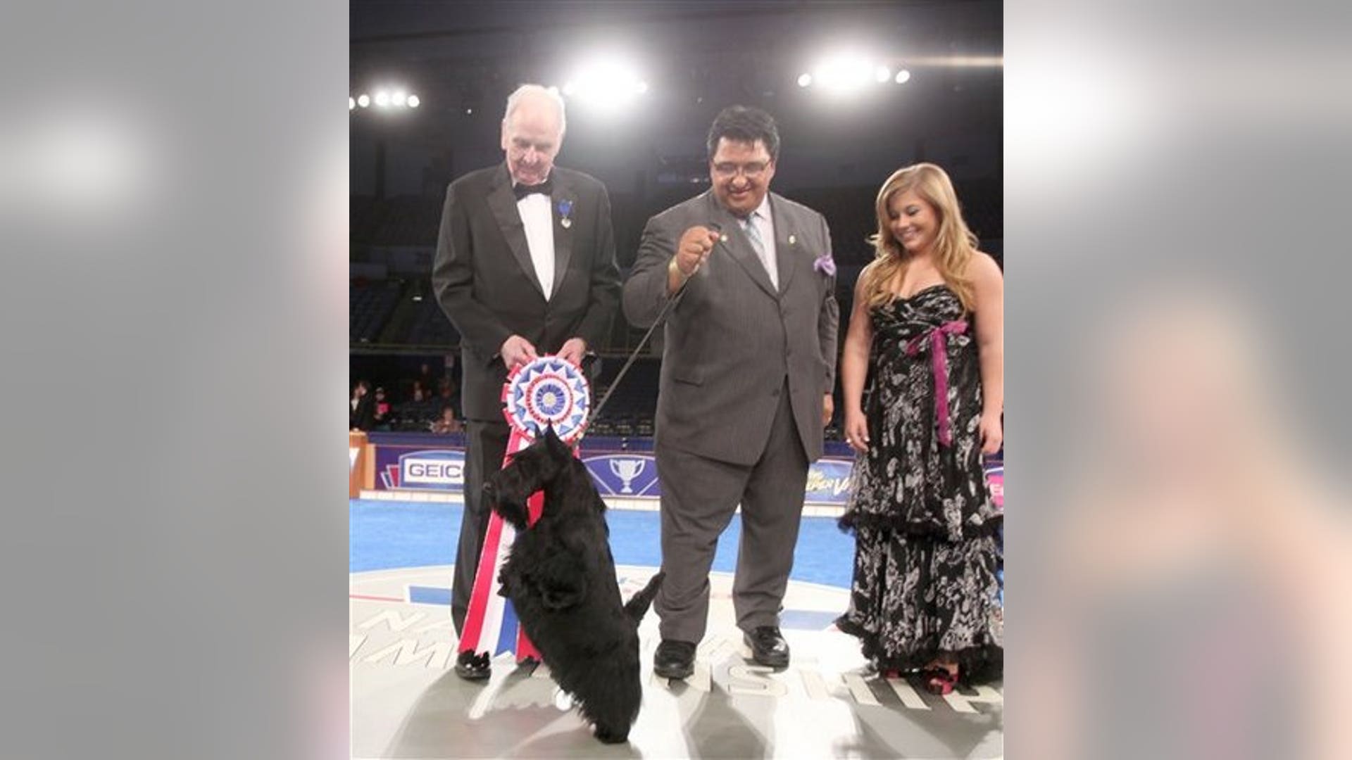 Westminster Dog Show: Meet the Competition | Fox News