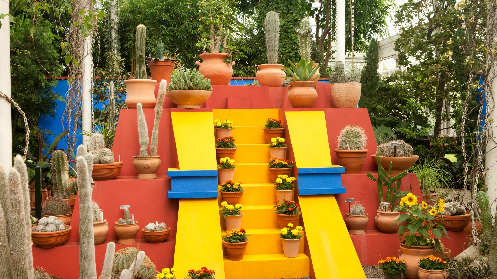 Frida Kahlo's art had its roots in the garden | Fox News