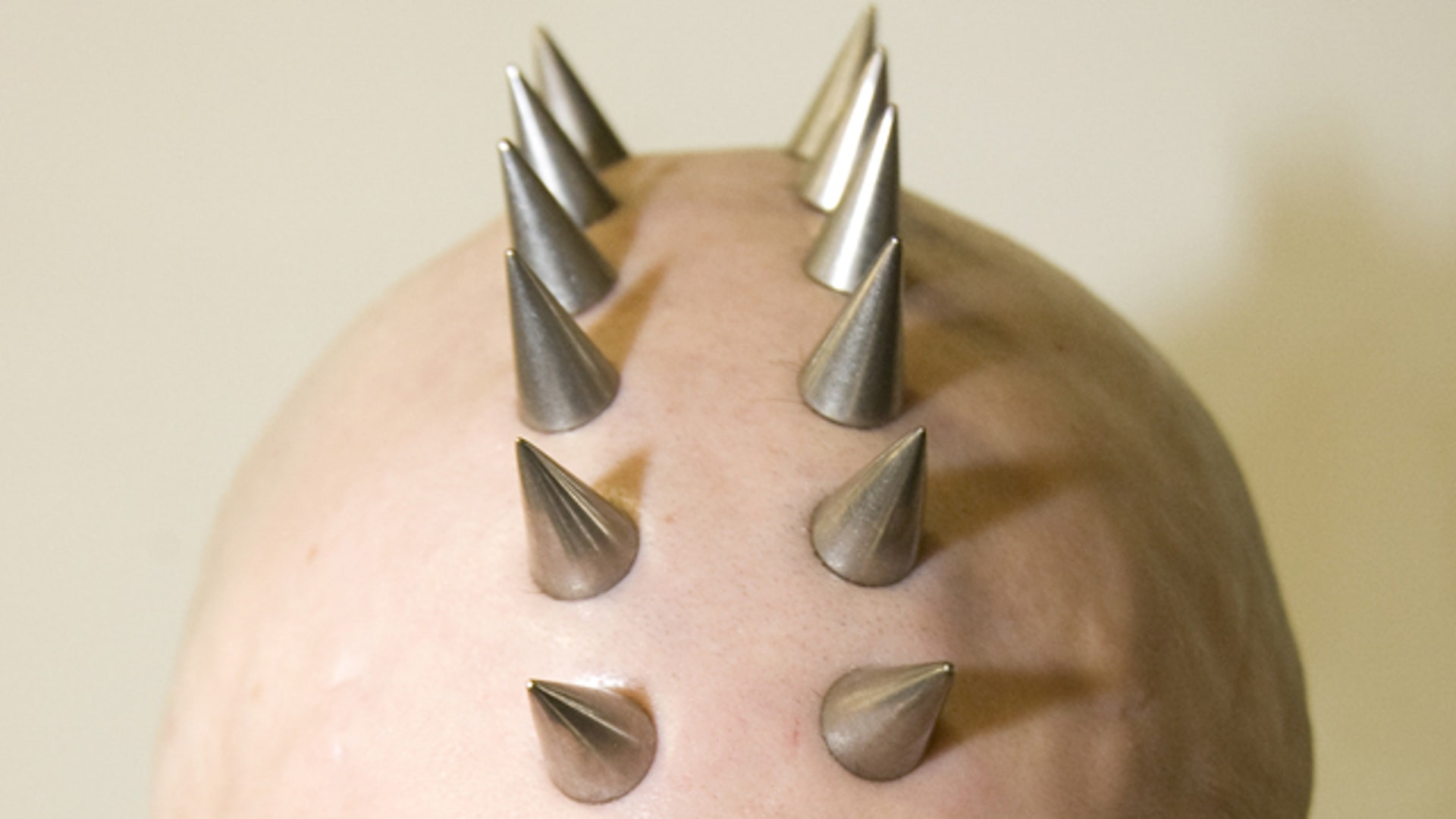 Extreme Body Art | Fox News