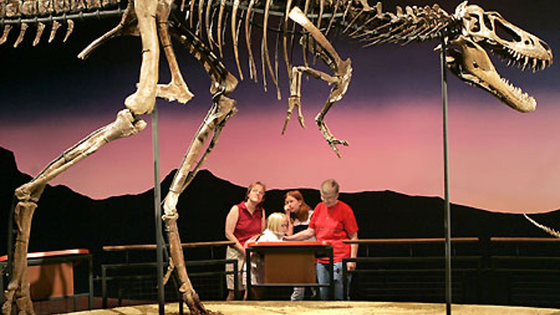 T.rex: King of the Lizards | Fox News