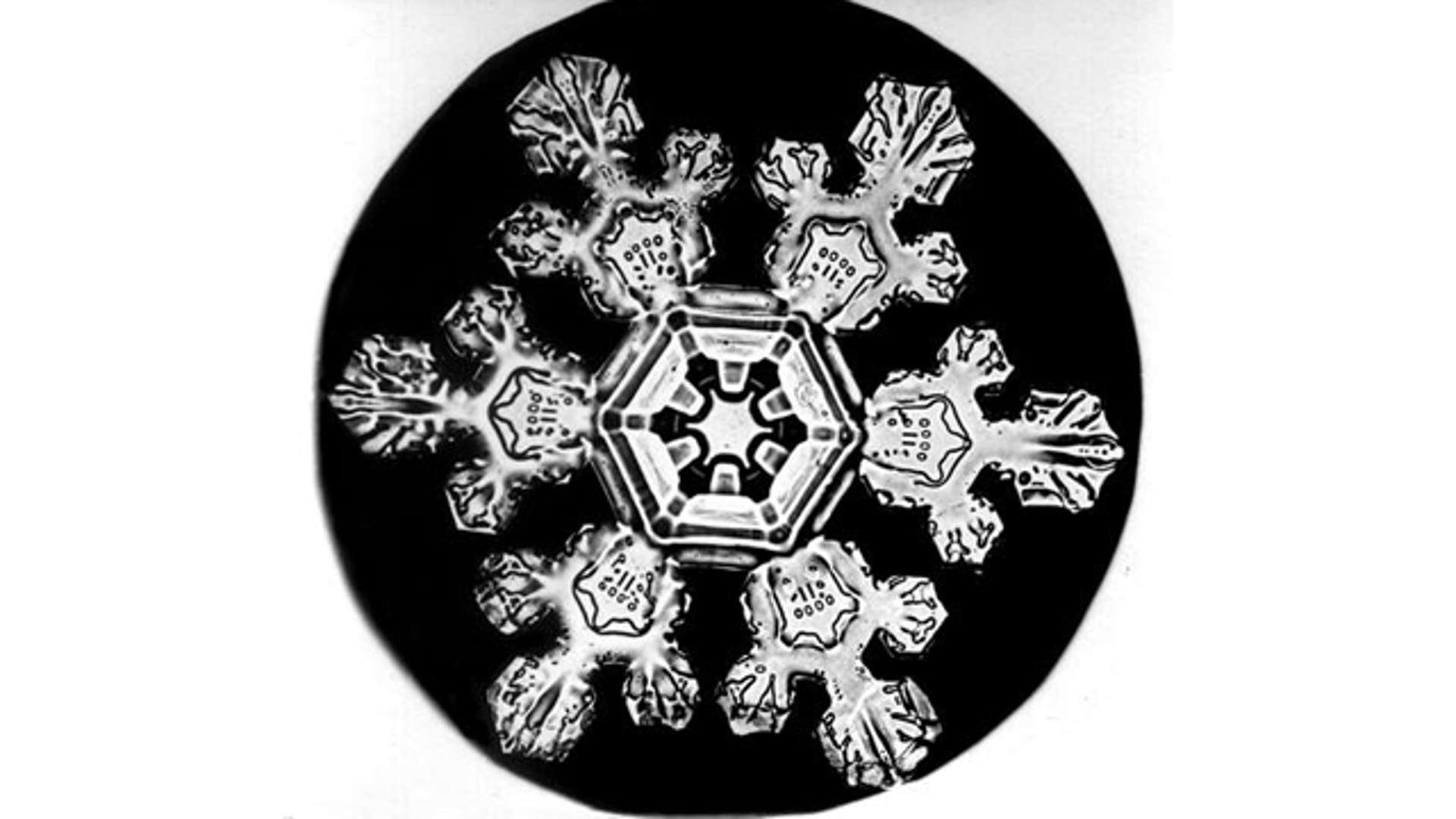 Wilson Bentley's Pioneering Snowflake Photography | Fox News
