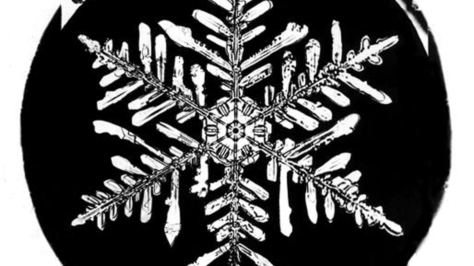 Wilson Bentley's Pioneering Snowflake Photography | Fox News
